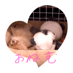 kenji_20220913135945 - Stiker LINE | LINE STORE