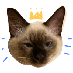 ryo__pi_20220913150911 – Stickers LINE | LINE STORE