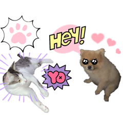 Blueberry and Ally. - LINE スタンプ | LINE STORE