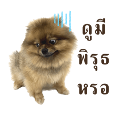 Neemui My Dog – LINE stickers | LINE STORE