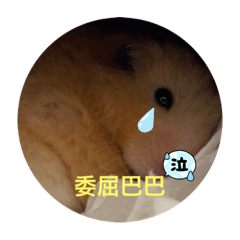 Pei min_20220915214316 – LINE stickers | LINE STORE