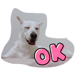 Mosimo – LINE貼圖 | LINE STORE