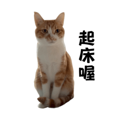 Raymond Lin_20220917035013 - Stiker LINE | LINE STORE