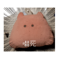 Dorry_20220917115154 - LINE スタンプ | LINE STORE