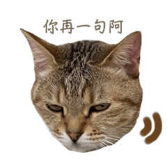 Manhua - LINE スタンプ | LINE STORE