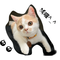 Mico_2022123457 - LINE スタンプ | LINE STORE