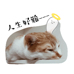 Hansen ming_20220918124509 – LINE stickers | LINE STORE