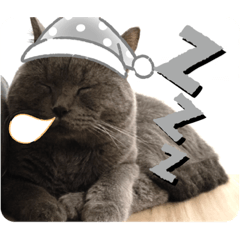 Linci_20220918210848 - LINE スタンプ | LINE STORE