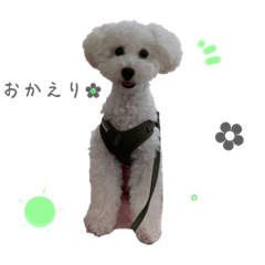 chiku_20220919220931 – LINE stickers | LINE STORE