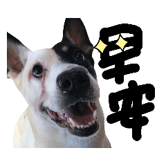 yunni_20220921061836 - LINE スタンプ | LINE STORE