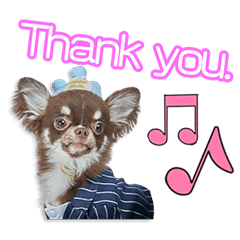 My beloved Chocosuke – สติกเกอร์ LINE | LINE STORE