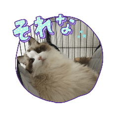 sawako_20220923112630 – LINE stickers | LINE STORE