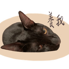 Kanahei Zhu_20220923092258 – LINE stickers | LINE STORE