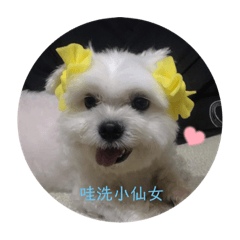 marzis._20220924175036 – LINE stickers | LINE STORE