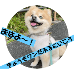 GABA_20220924213551 – LINE stickers | LINE STORE