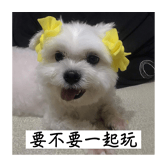 marzis._20220925222358 – LINE stickers | LINE STORE