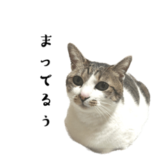 fuu_20220926164032 – LINE stickers | LINE STORE