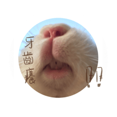 CHI_20220926232446 – LINE stickers | LINE STORE