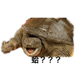 Li LUN_20220927172426 – LINE stickers | LINE STORE