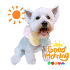 Poki dog – LINE stickers | LINE STORE