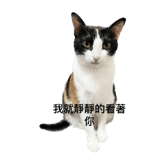 Pia_20221001011221 – LINE stickers | LINE STORE