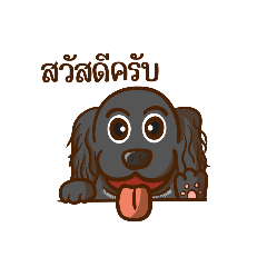 Pipo The Dog – LINE stickers | LINE STORE