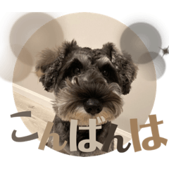 Rio_20221003185904 – LINE stickers | LINE STORE