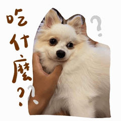 Chihuahua Bai Ji - LINE スタンプ | LINE STORE