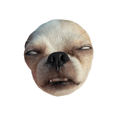 Uji_20221004155442 – LINE stickers | LINE STORE