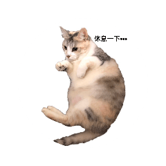 Didi_20221005110122 – LINE stickers | LINE STORE
