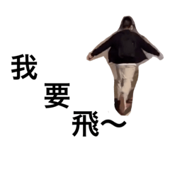 復旦355–1.0 – LINE貼圖 | LINE STORE