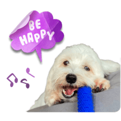 mr.poe and kome_20221007133441 – Stickers LINE | LINE STORE