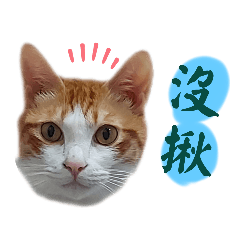 Ponkan's little world_20221007173539 – LINE stickers | LINE STORE