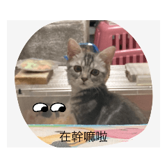 Dinero_20221007223756 - Stiker LINE | LINE STORE