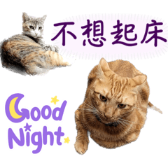 CHIEN SHU YUN 1995_20221010091648 – LINE stickers | LINE STORE