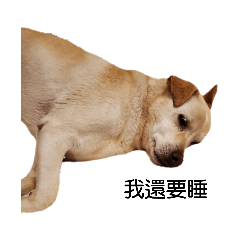 bitzer_20221010201506 - LINE スタンプ | LINE STORE