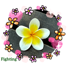 Results for "zcc" in LINE stickers, emoji, themes, games, and more ...