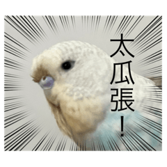 double Y_20221010234547 – LINE stickers | LINE STORE