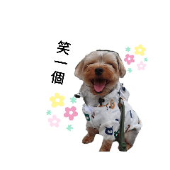 SU,YOU-ROU_20221010141646 – LINE stickers | LINE STORE