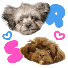 Ron&Sarahと一緒 - LINE スタンプ | LINE STORE