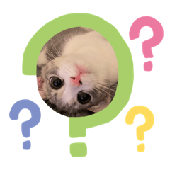 Timmy_20221012004815 - Stiker LINE | LINE STORE