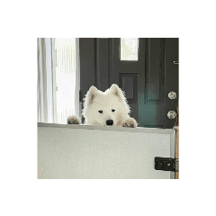 image_o_o00_20221011205250 - LINE スタンプ | LINE STORE