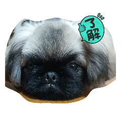 Iza-ber_20221013190542 – LINE stickers | LINE STORE