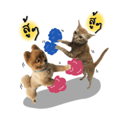 Capmoo,Yuzu and Taro – สติกเกอร์ LINE | LINE STORE