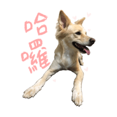 KK baby dog - LINE スタンプ | LINE STORE