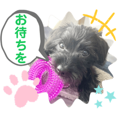 BONI_20221015152407 – LINE stickers | LINE STORE