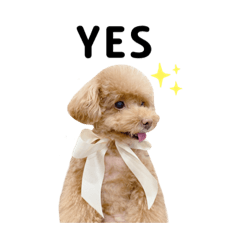 Joyen_20221015143932 – LINE stickers | LINE STORE