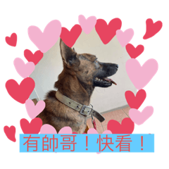 LeLe and RuRu – LINE stickers | LINE STORE
