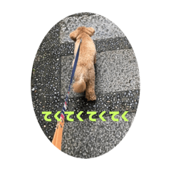 fucocco stamp_20221016162554 – LINE stickers | LINE STORE