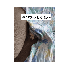 ドッグ集2 - LINE スタンプ | LINE STORE